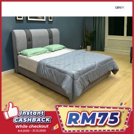 Queen Size Bed with Mattress (QBN71)
